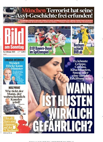 Bild am Sonntag Gesamtausgabe als epaper